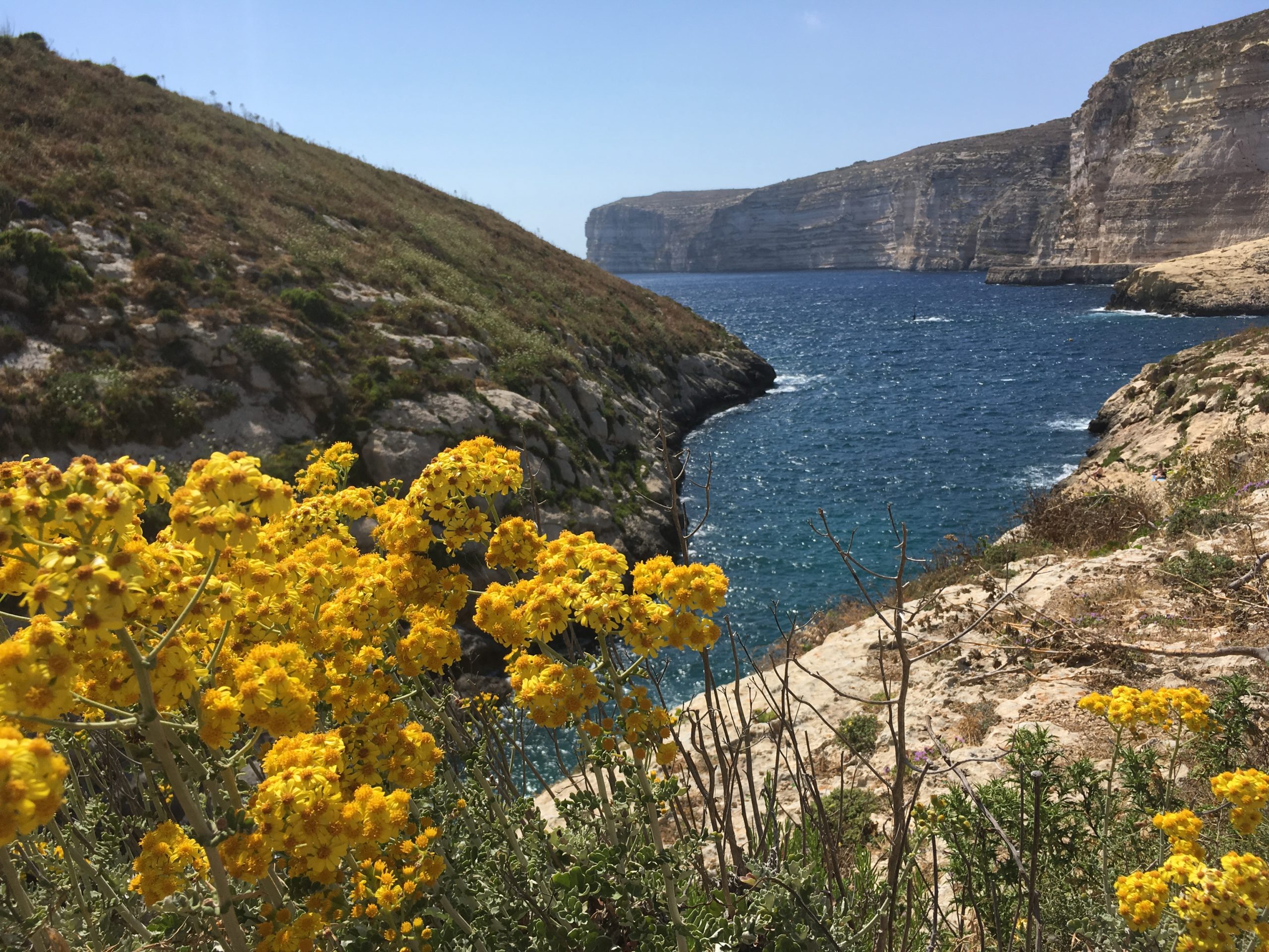 Pizza in Xlendi Gozo - Moby Dick Bar, Restaurant, Apartments